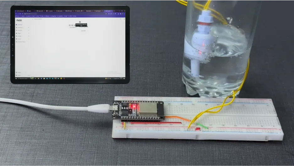 Water Level Detection with P45 Float Switch Tutorial